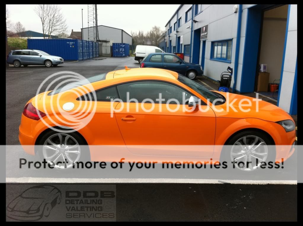 Correction Detail on Solar Orange TTS | Audi TT Forum