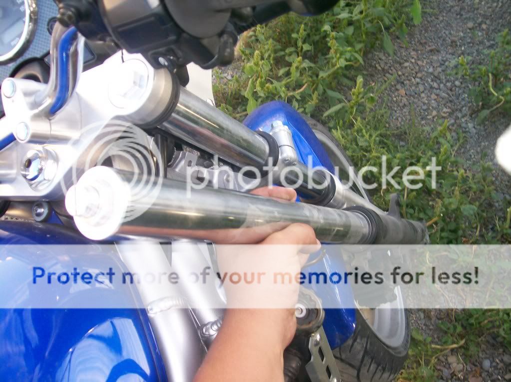 Front SV forks? | Suzuki SV650 Riders Forum