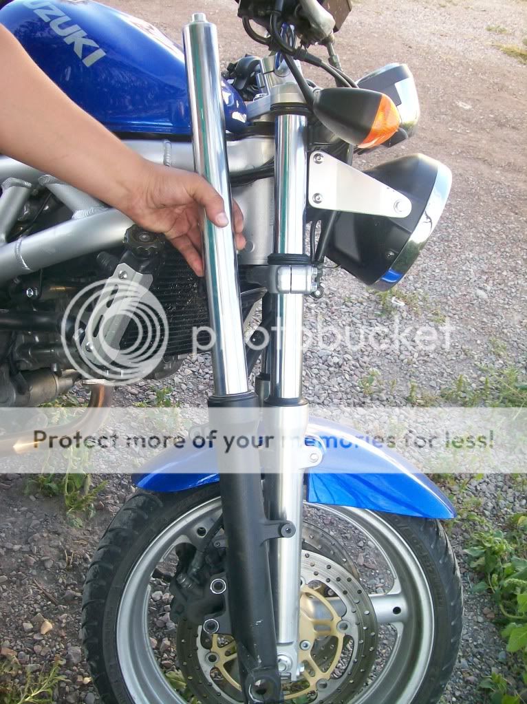Front SV forks? | Suzuki SV650 Riders Forum