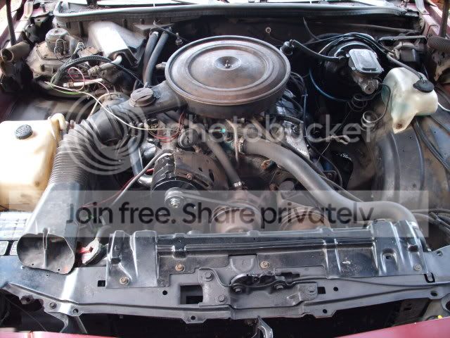 couple engine swap pics just finished up | GBodyForum - 1978-1988 GM A ...