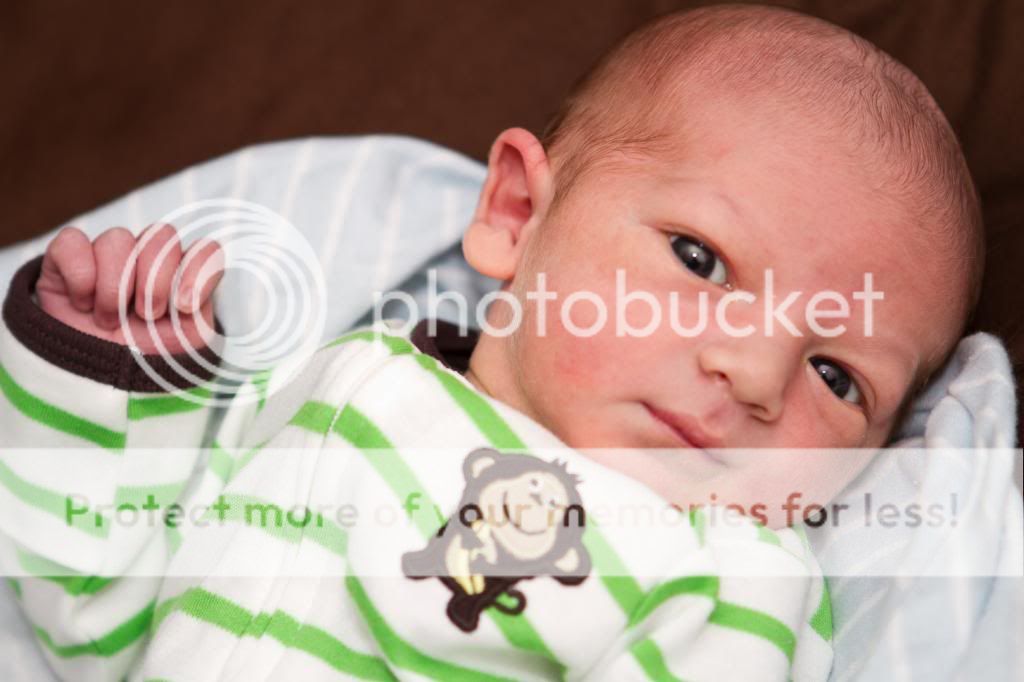 havent been on in about a week...heres why. | Modded Mustang Forums