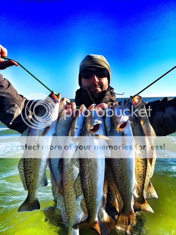 Big Trout and Full Stringers | 2 Cool Fishing Forum