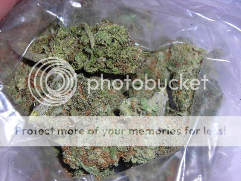 New Trainwreck/Beaster Pickup (Pics) | Grasscity Forums - The #1 ...